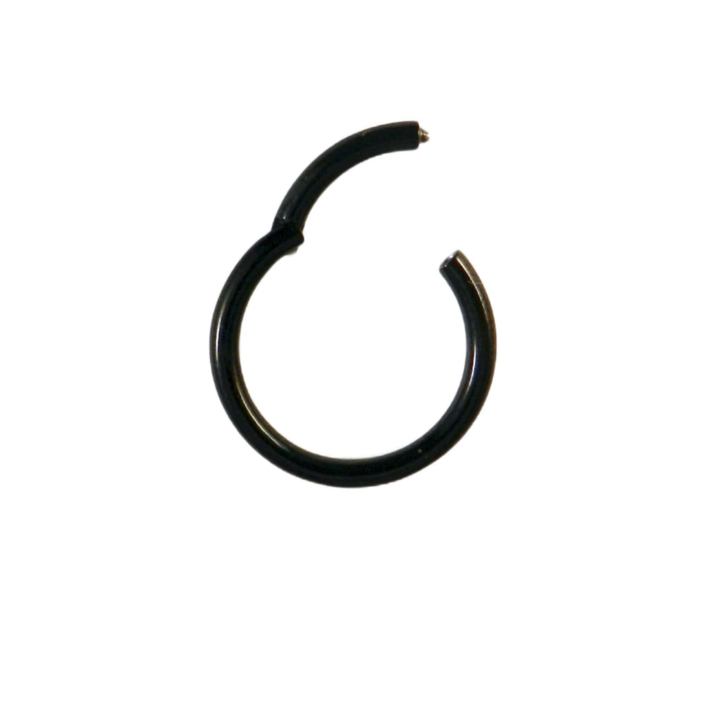 Hinged Segment Ring – Punktured Body Piercing